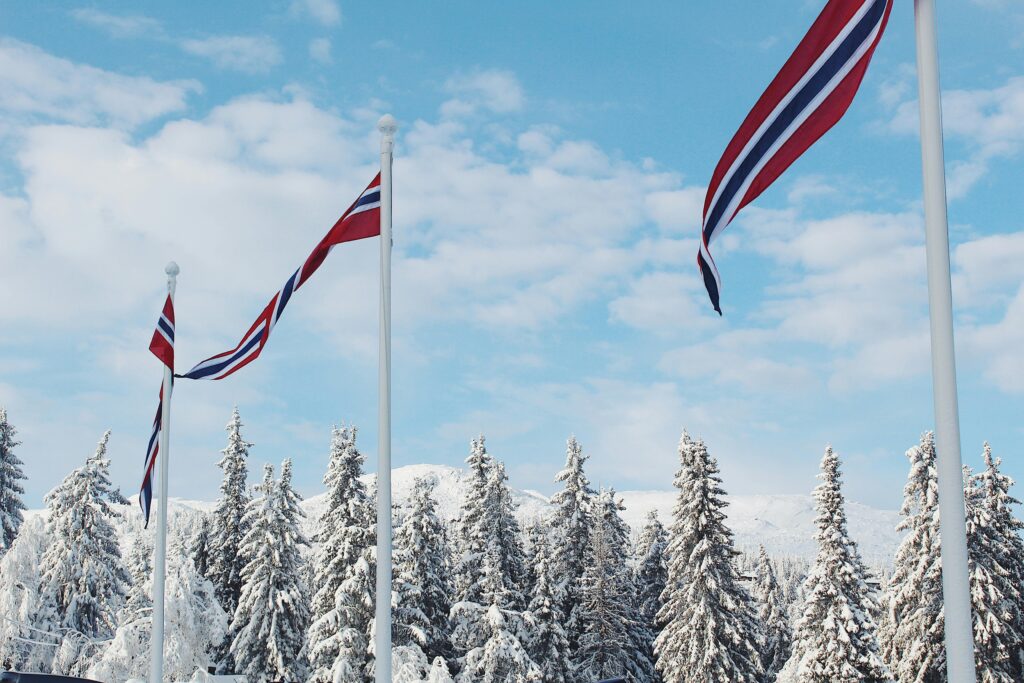 Barn som reiser alene sas